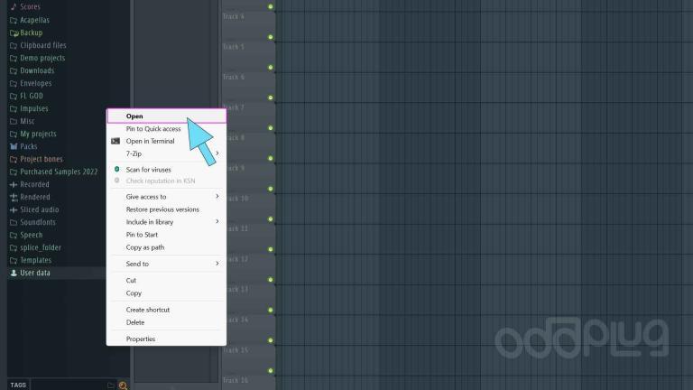 Adding New Themes to FL Studio: Explained - OddPlug